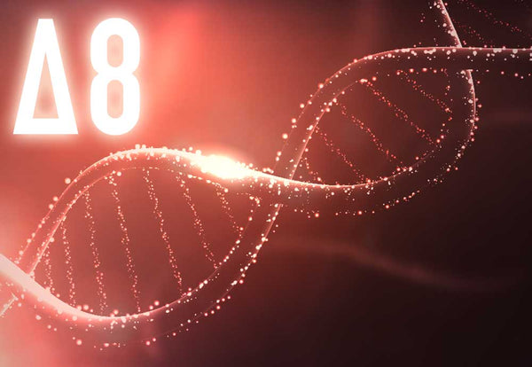 D8: Does It Have A Future In Cancer Treatment? | Pure Craft