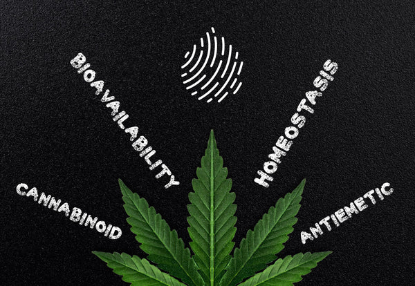 Common Cannabis Terms: Health-Related Terms Defined | Pure Craft